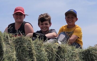The Bryce Farms Story